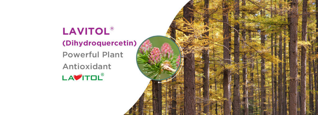 premium ingredients food nutritional pet personal care