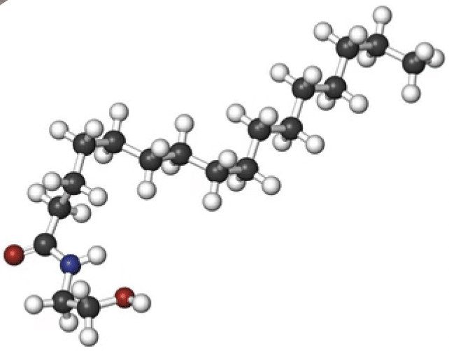 Bio-gen Extracts: Beta Caro-gen™, Lute-gen™, Zea-gen™ and Ultra Carogen.