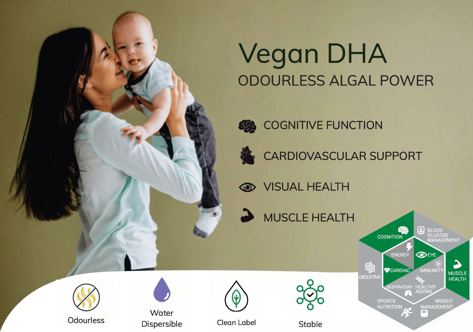 Bio-gen Extracts: Beta Caro-gen™, Lute-gen™, Zea-gen™ and Ultra Carogen.